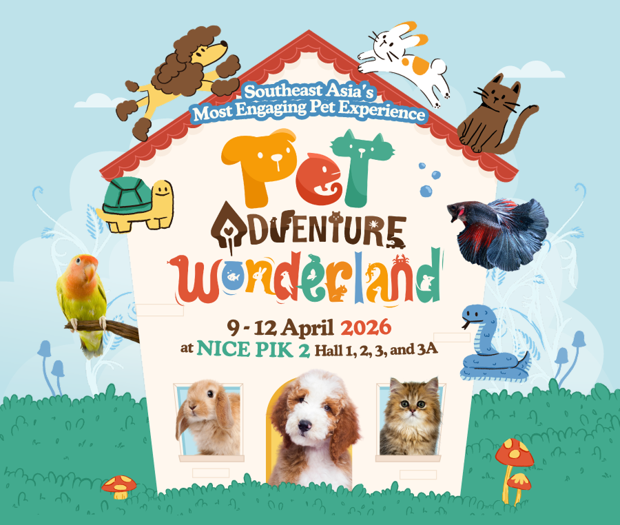 Pet Adventure Wonderland